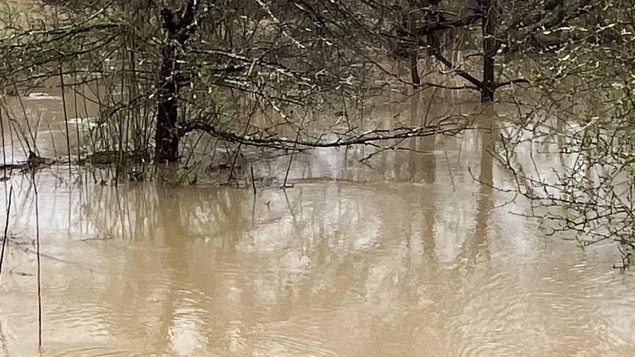 See, share latest weather photos and videos on WTAE's u local