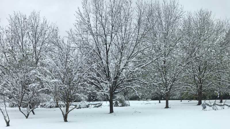 This is what happens when snow hits the South