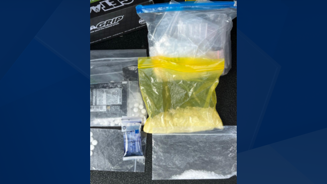 Florida man arrested, found with plethora of drugs and firearms