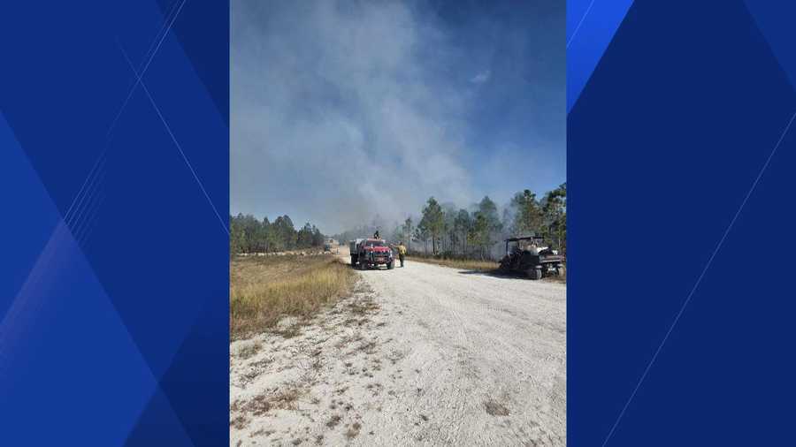 120-acre prescribed burn in Picayune Strand State Forest takes place ...
