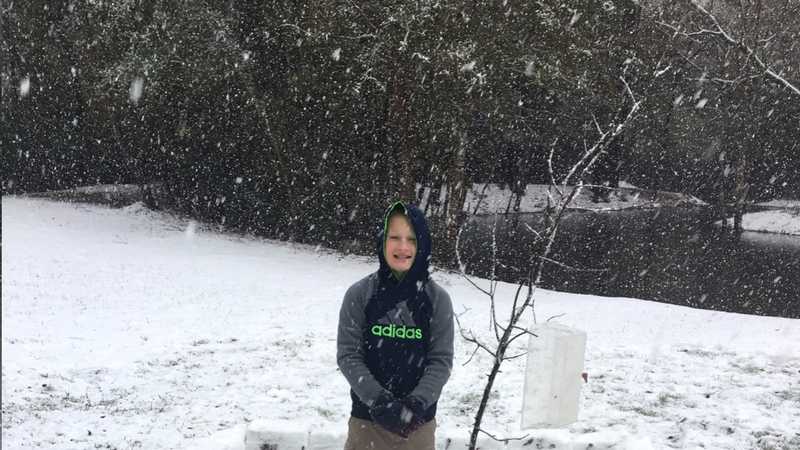 This is what happens when snow hits the South
