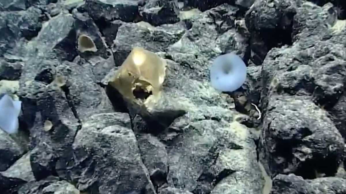 Mysterious golden orb found on ocean floor Mysterious golden orb found on ocean floor