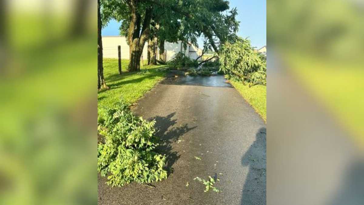 PHOTOS: Large hail, wild clouds and damage from Sunday's severe storms