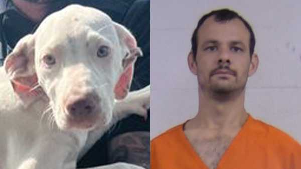 LMPD: Man charged with torture after allegedly throwing puppy