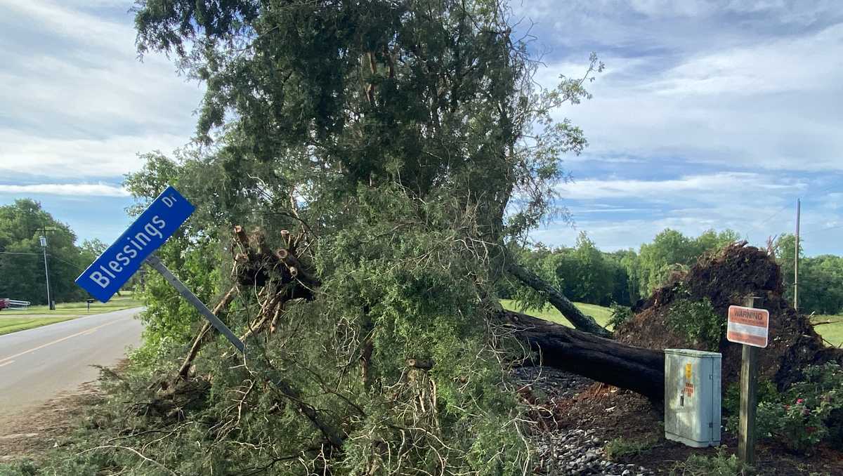 PHOTOS: damage to buildings on farm, trees after storm