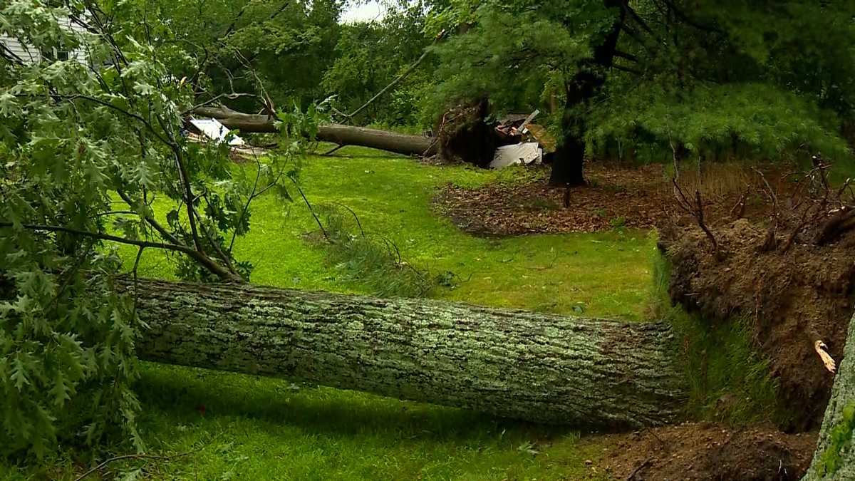 Storm brings tree, flooding damage to parts of MetroWest