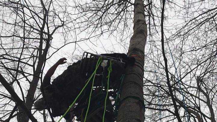 Hunter rescued from tree stand after two hours of dangling upside-down