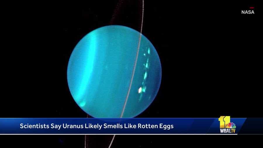 Uranus smells like rotten eggs, scientists say