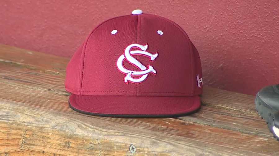 University of South Carolina announces new head baseball coach - WJCL