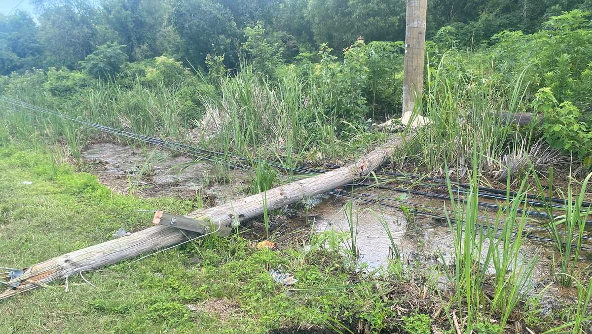 New Orleans residents lose power after rotten utility poles fall
