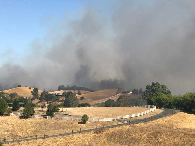 2 homes destroyed in 4-alarm vegetation fire in Vacaville