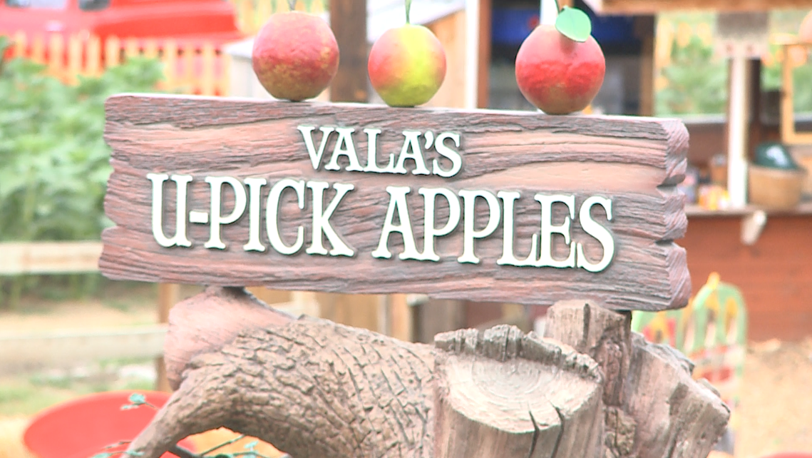 Apples take center stage at Vala's Pumpkin Patch for first-ever Apple Fest