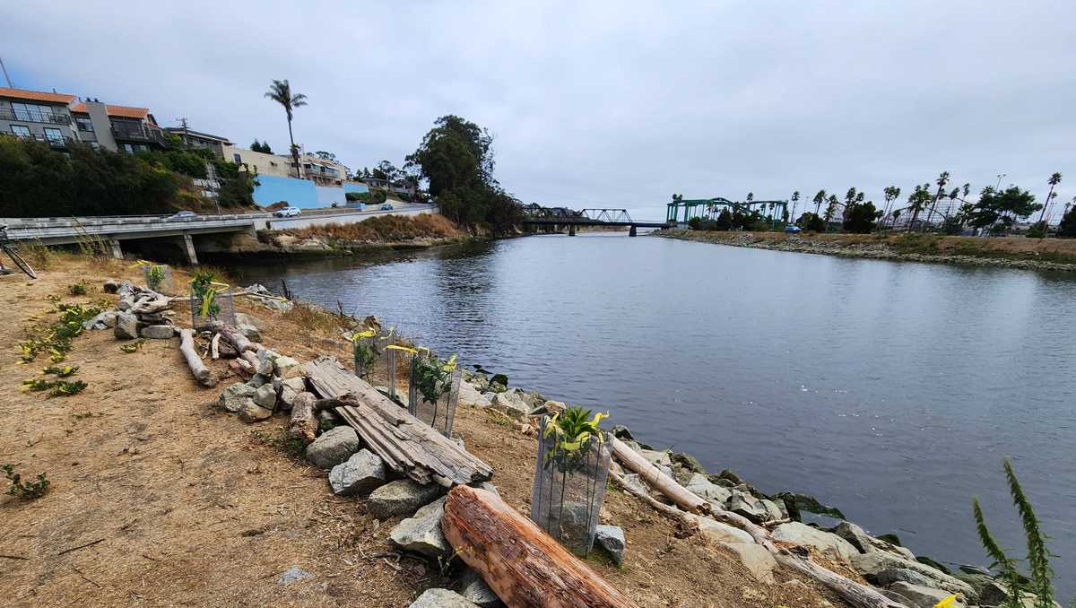 Immediate repairs being made to San Lorenzo River Levee following vandalism
