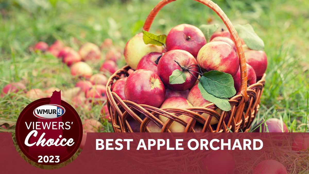 New Hampshire best apple orchard of 2023