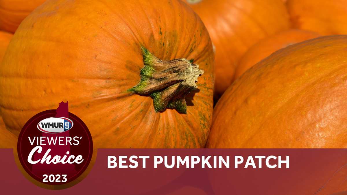 New Hampshire best pumpkin patches of 2023