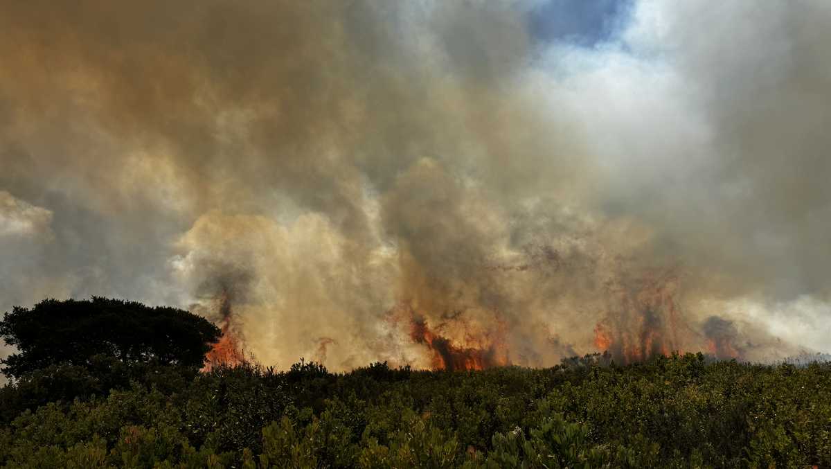 4-acre vegetation fire contained in Monterey County