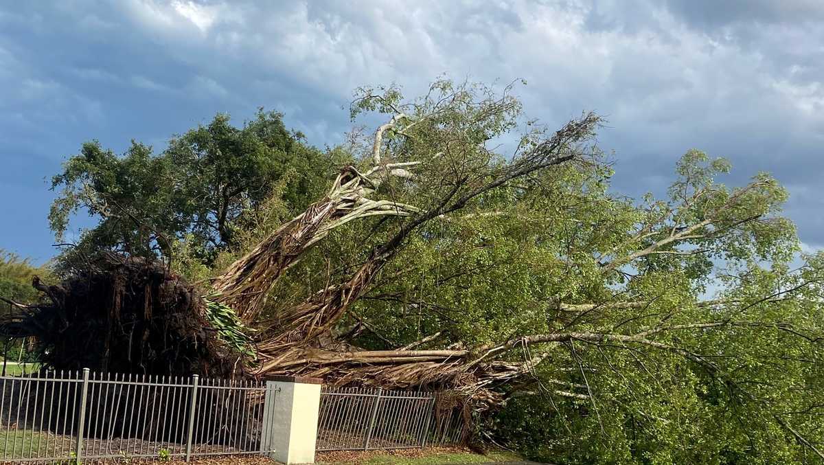 Gallery: Severe storms down tress and produce hail across South Florida