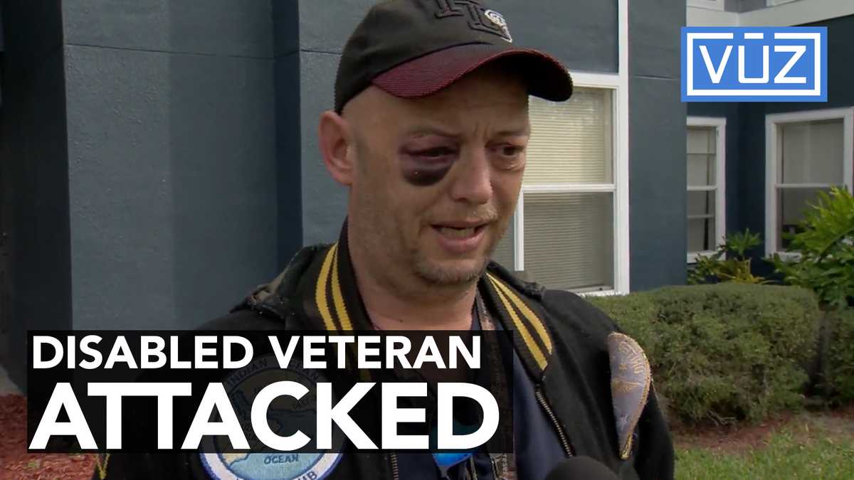 Disabled vet beaten for trying to save a turtle