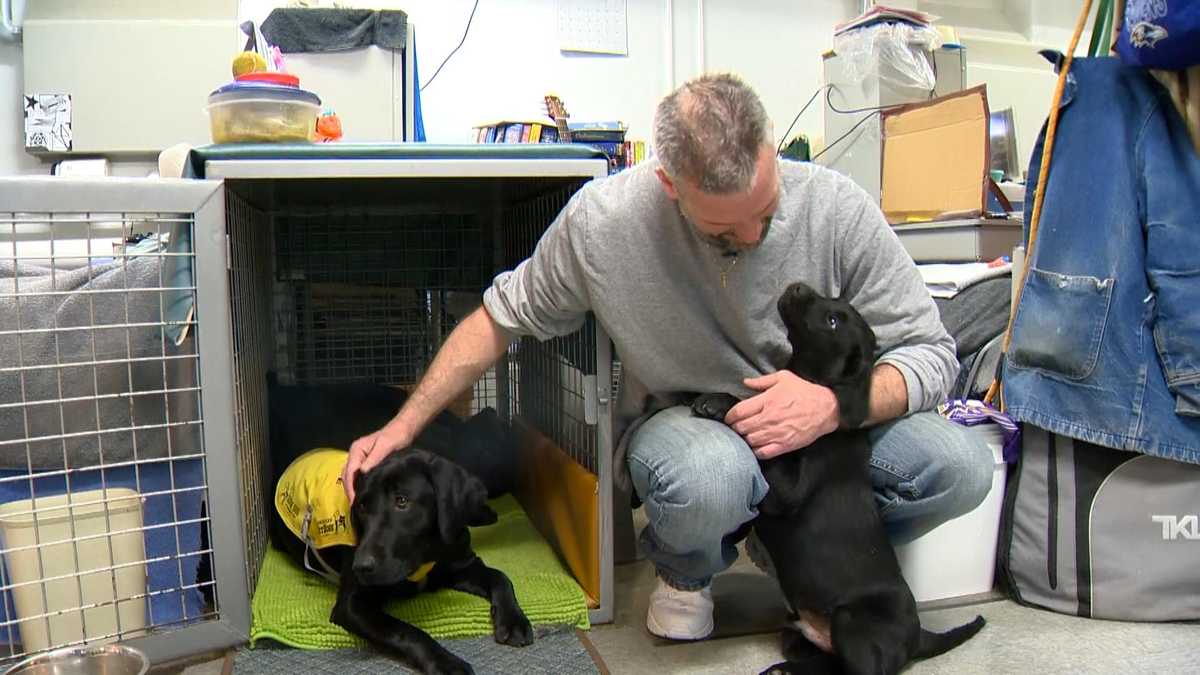 Inmates help train VetDogs from prison