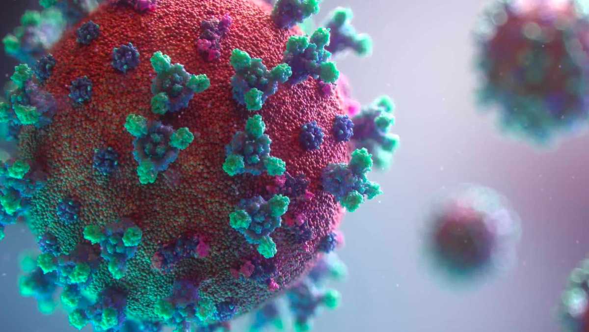 Fact Check: The White House isn’t selling coronavirus coins