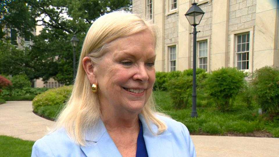 Profile: Vicki Almond running for Baltimore County executive