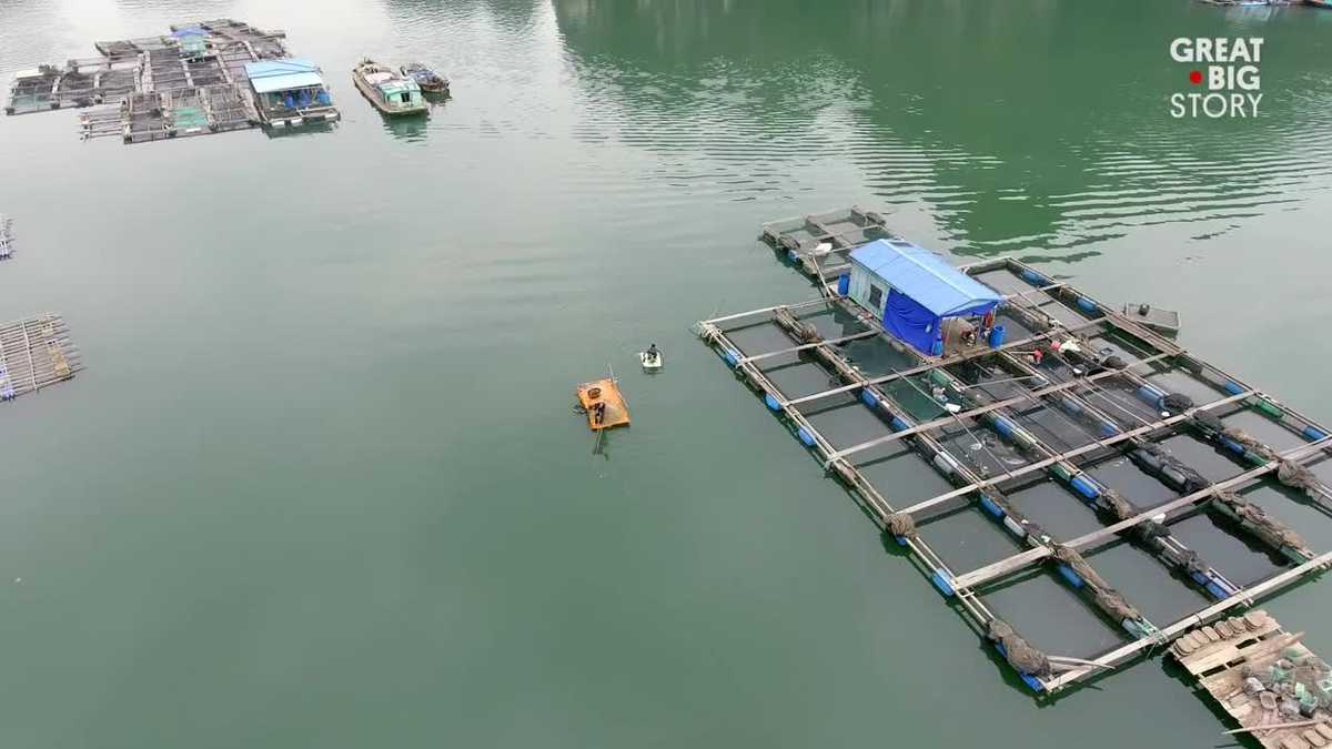 Vietnam’s Floating Pocket of Paradise