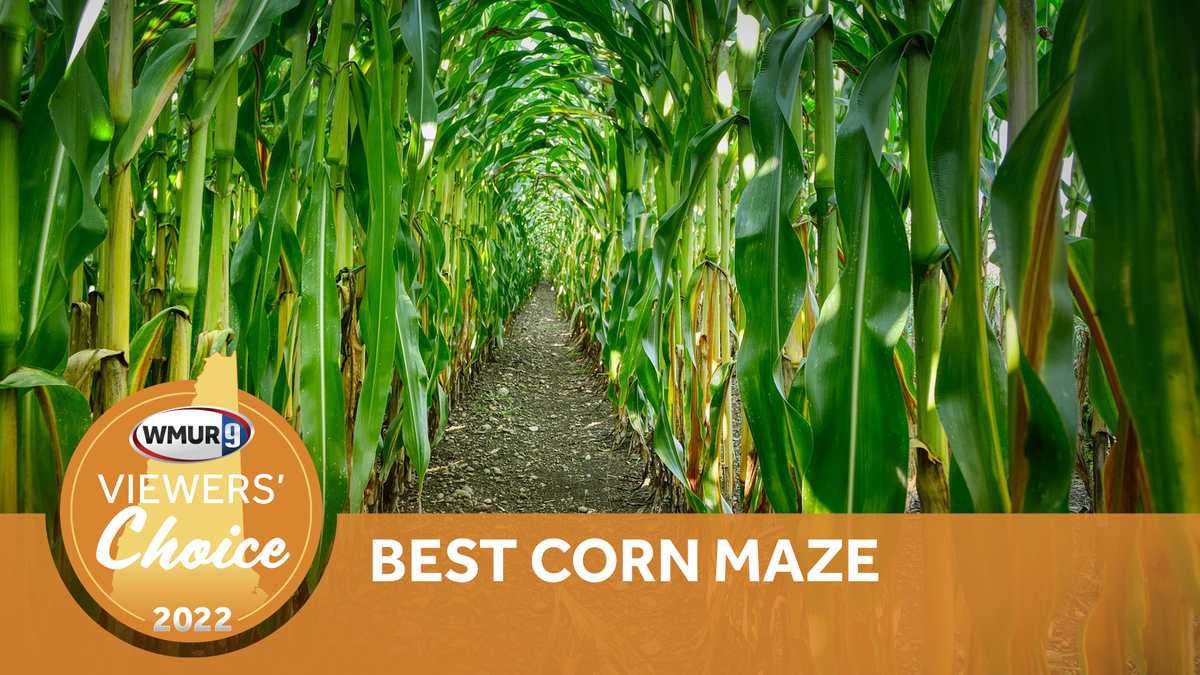 NH best corn maze of 2022