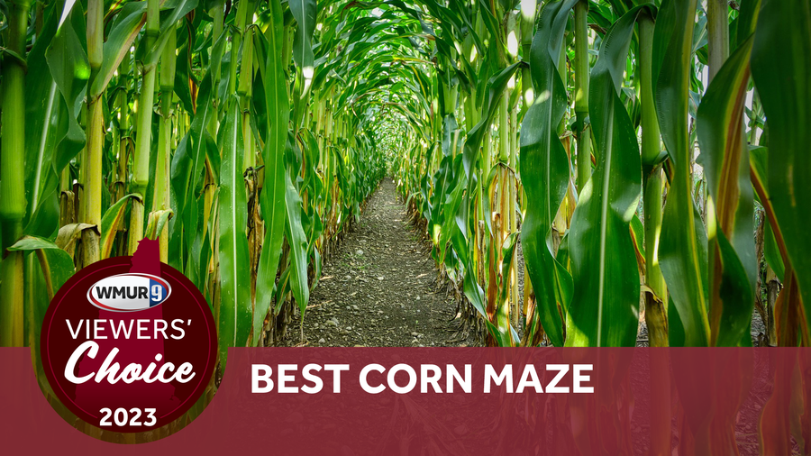 New Hampshire's best corn mazes of 2023