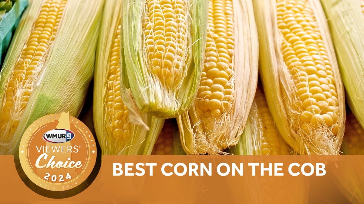 New Hampshire best corn on the cob of 2024