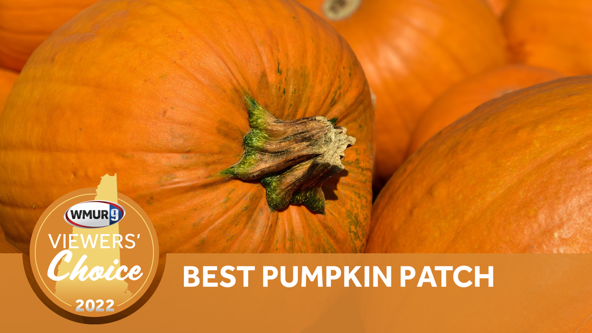 NH best pumpkin patch of 2022