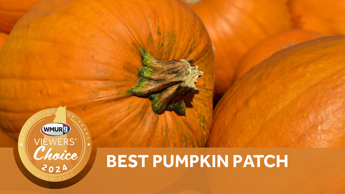 New Hampshire best pumpkin patches of 2024