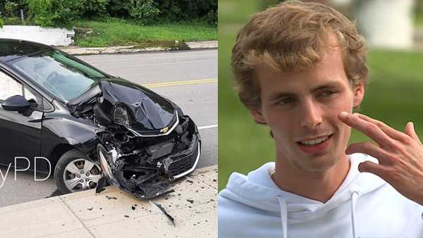 Man who crashed car after cicada face smack: 'Go back in the ground'