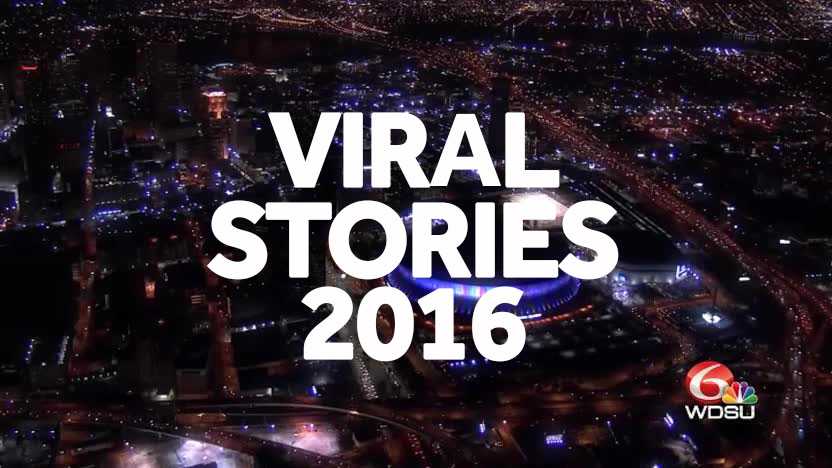 Look back at local stories that went viral in 2016