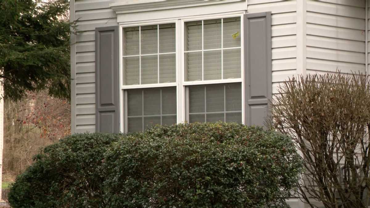 Washington County controller under investigation in dog's death