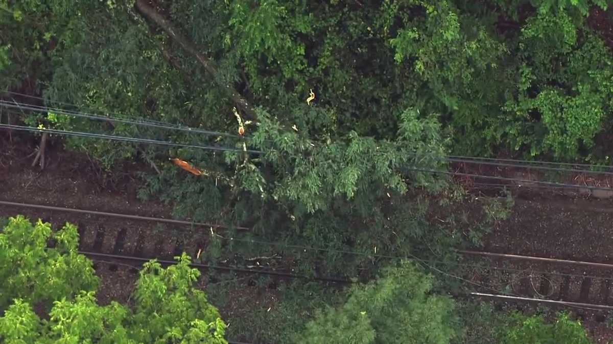 Trees fall on T tracks during storm, making rush-hour ride a long one ...