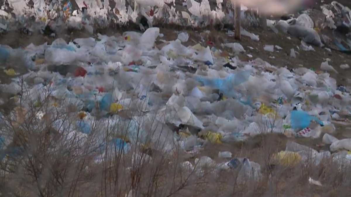Photos: Trash from landfill blows all over fences, trees