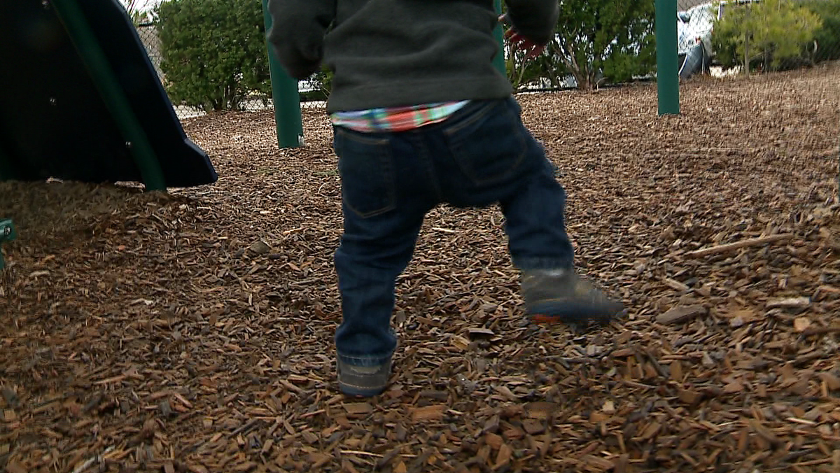 DCF faces huge backlog on background checks