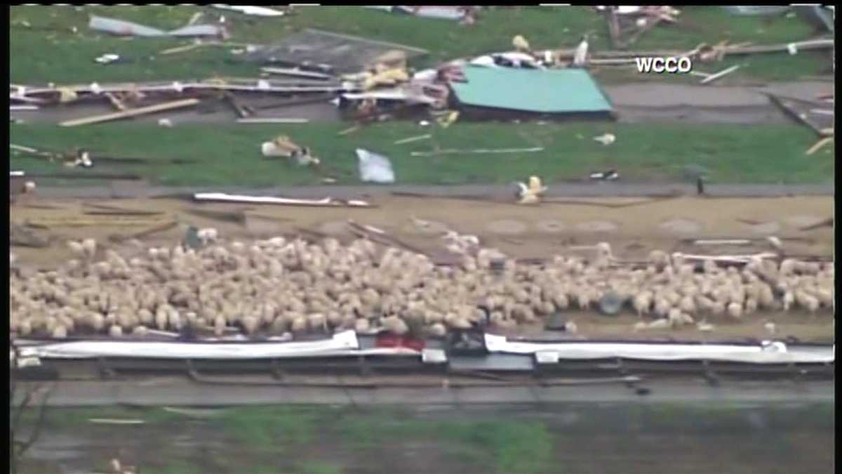 Photos: Tornado damage in Chetek