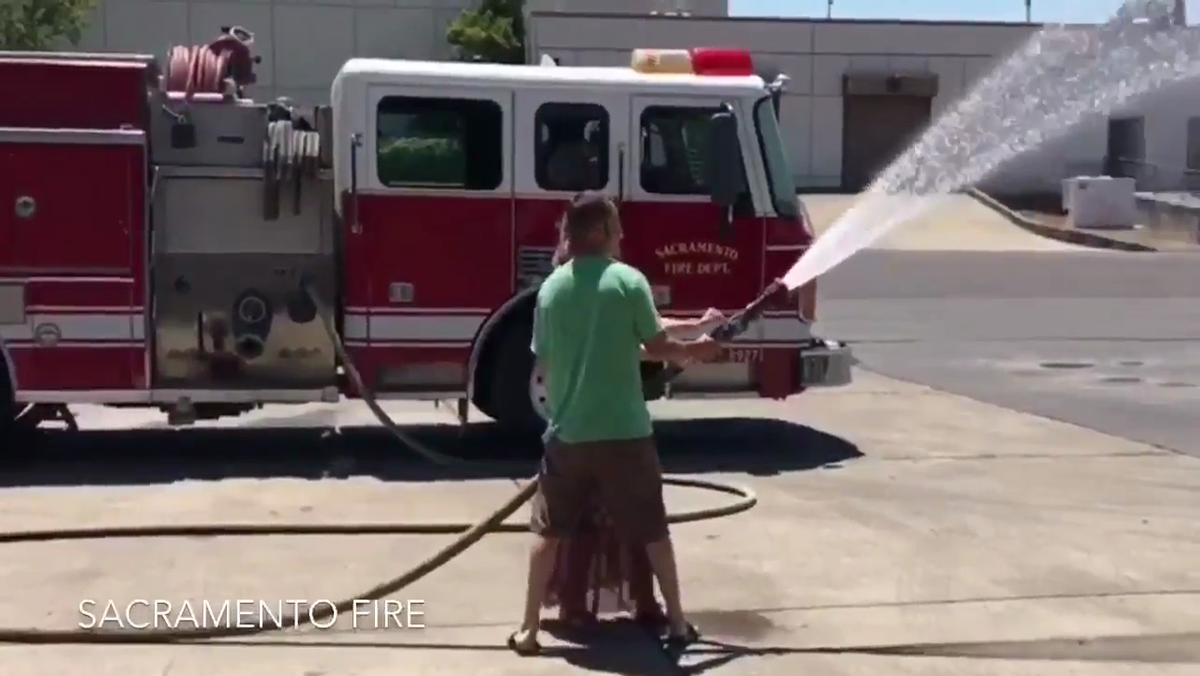 Unique gender reveal surprises Sacramento firefighter, partner