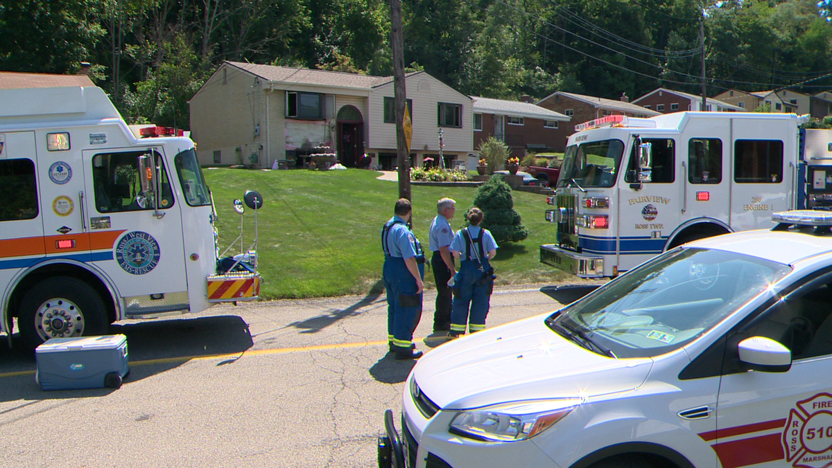Ross Township tax collector hurt, his dog killed in house fire