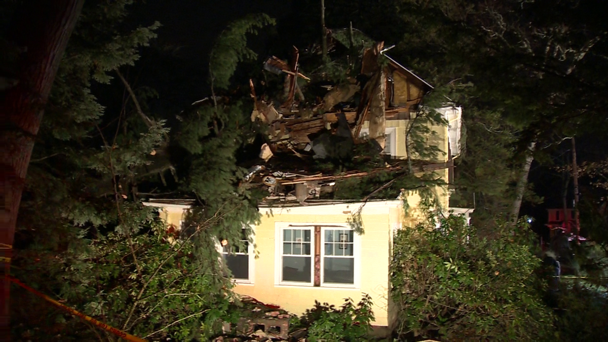 Gusty winds down trees in several towns