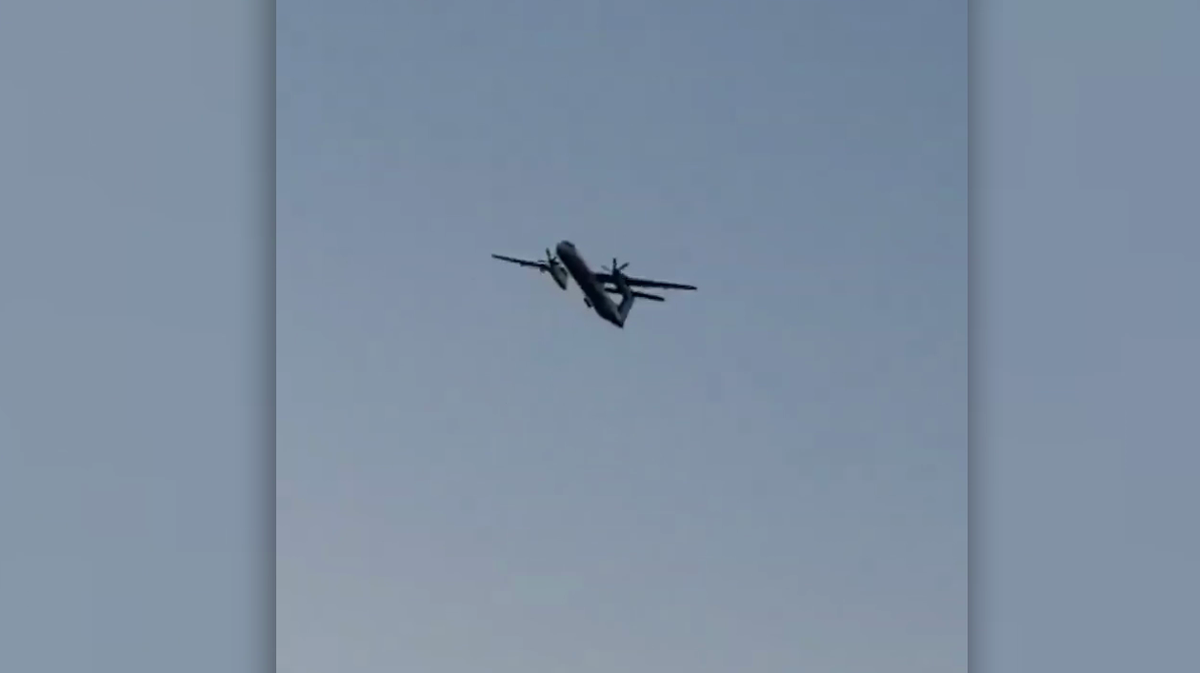 Plane Stolen From Seattle Airport Crashes On Island In Puget Sound