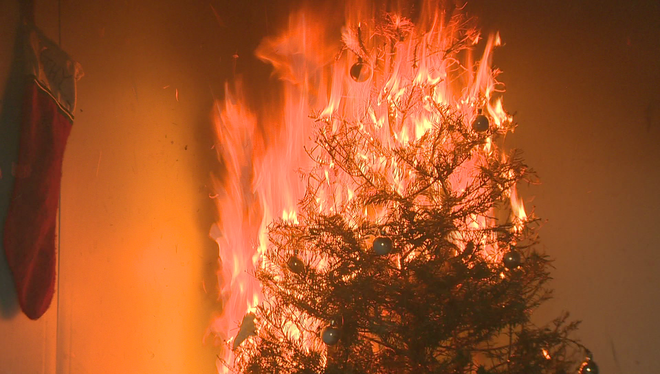 Video shows how quickly dry Christmas tree fire spreads