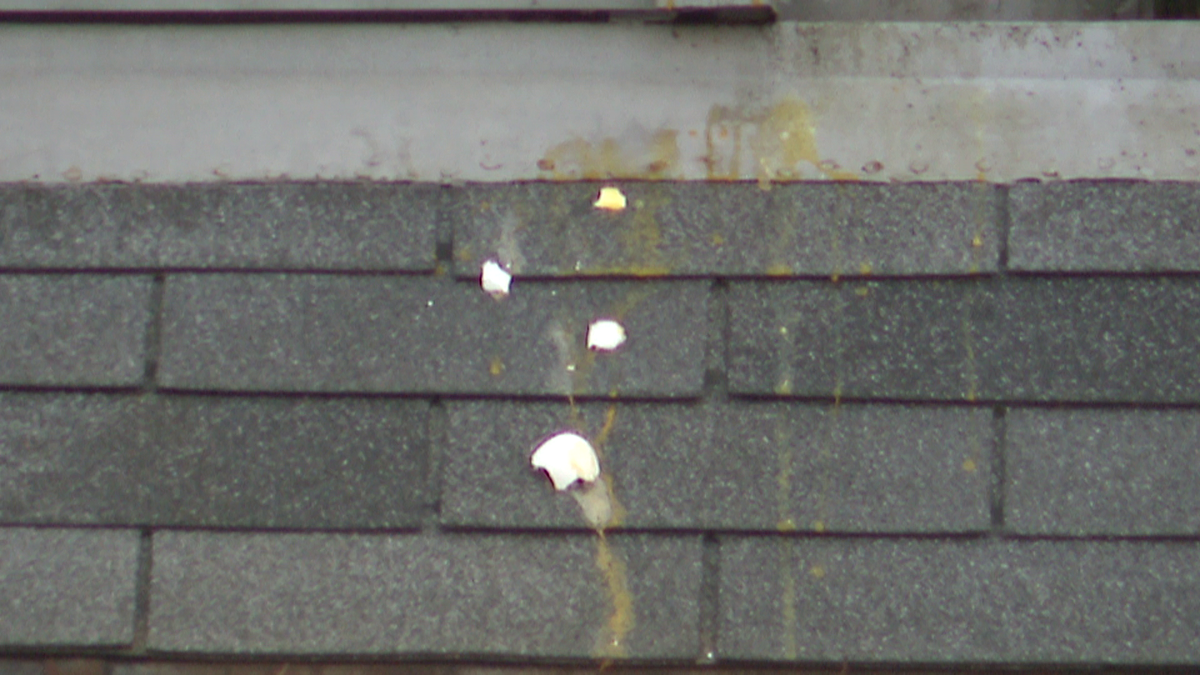 Shorewood duplex trashed with eggs, toilet paper, peanut butter