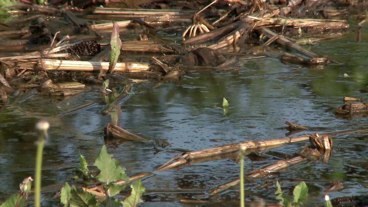 Days of rain swamp farm fields