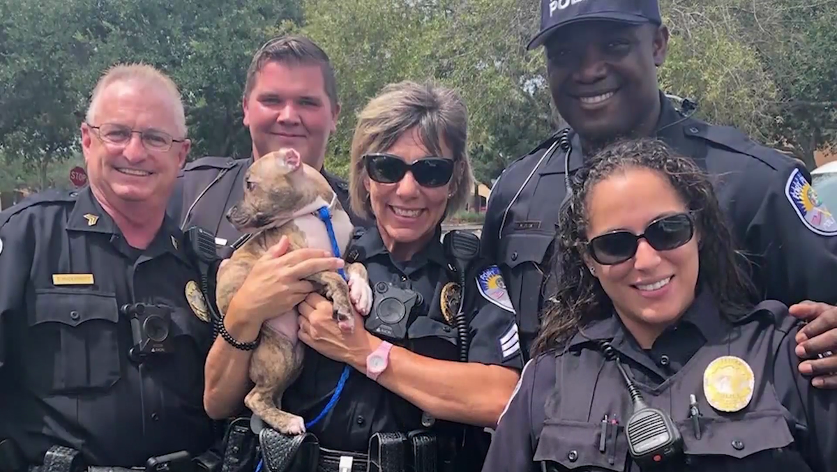 Fort Pierce police rescue puppy before Hurricane Dorian arrives