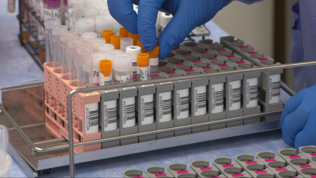 Exclusive look inside COVID-19 testing lab soon coming to Massachusetts