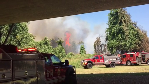 Crews battle 2-alarm vegetation fire near Discovery Park