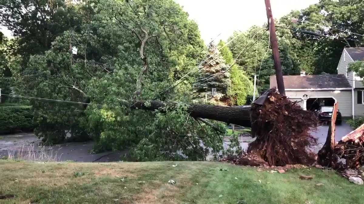 Severe thunderstorms bring heavy rain, lightning, wind damage