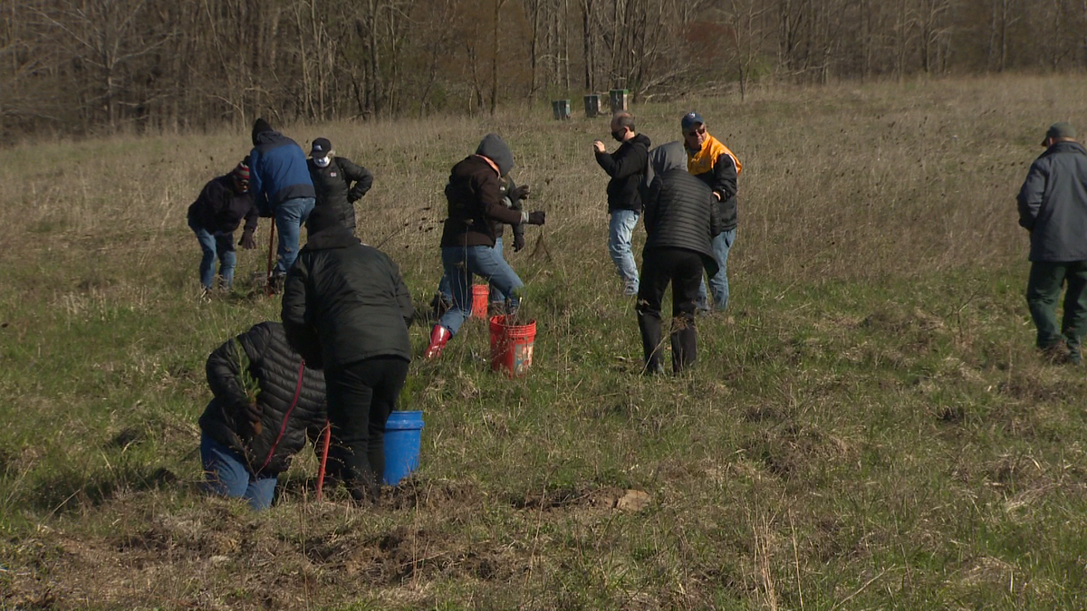 Volunteers return to Flight 93 memorial to plant trees